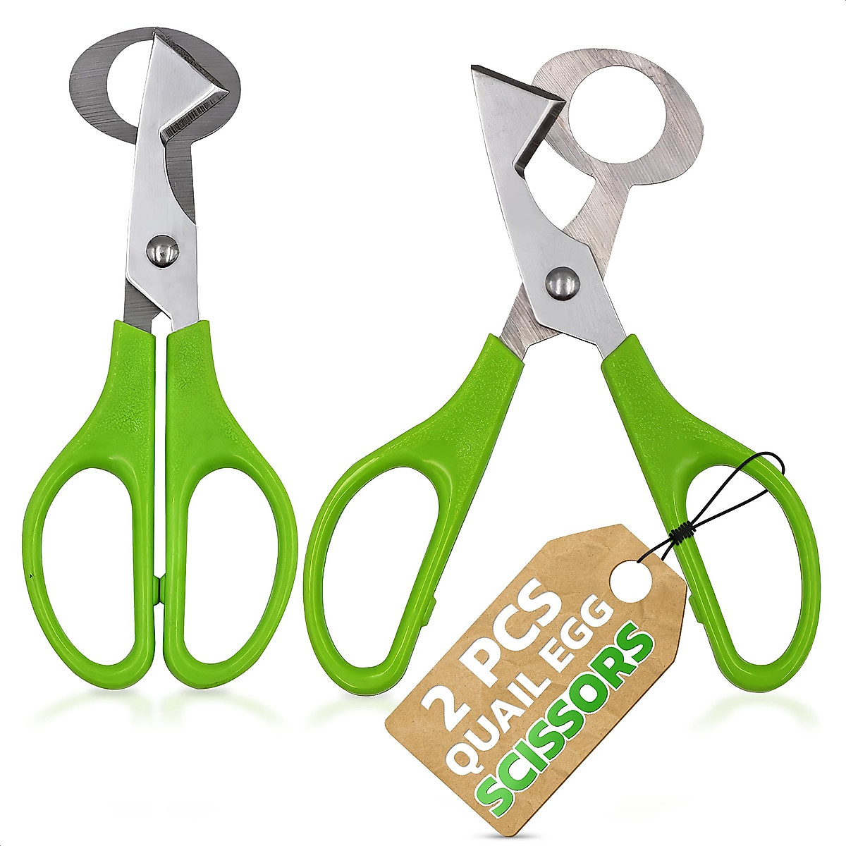 2 Pcs Quail Egg Scissors - Heavy-Duty Quail Egg Cutter Tool with Stainless Steel Sharp Blades & Ergonomic Grip - Compact Size (5.5" x 2.56") with 0.79" Diameter for Quick & Precise Cutting