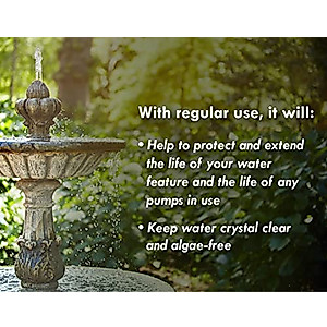 Fountain Algaecide and Clarifier - 8oz - Kills and Inhibits All Types of Algae Growth, Formulated for Small Ponds and Water Features, Treats up to 8,000 Gallons