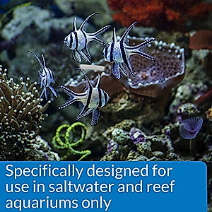 API MARINE STRESS COAT Saltwater Aquarium Water Conditioner 16-Ounce Bottle (385D)