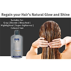 Dr. Fischer Gray Hair Shampoo. Volumizing and Clarifying for Silver Hair, Blonde Hair, Thinning, Colored & Brassy Yellow Tones.13.5 oz