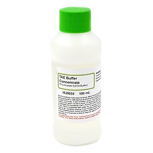 ALDON Innovating Science Tris-Acetate-EDTA Buffer Concentrate, 100mL - 50x Concentrate Solution - The Curated Chemical Collection