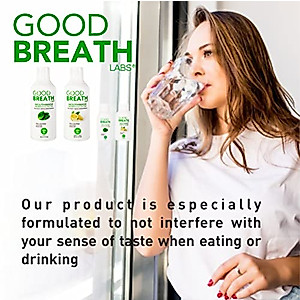 Goodbreath Labs Mouthwash | New Ozone Technology Specialized in Chronic Halitosis | Mouth Rinse Alcohol Free | Bad Breath Neutralizer | Mint Flavor Oral Rinse for Gum Disease ((1 Pack) 16 oz)