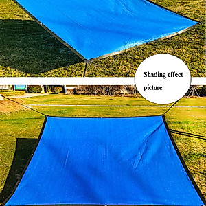 WYYZH Thickened HDPE Shading Net Sunblock Shade Cloth Net Tear Resistant Gazebo Shade Net Garden Sun Shade Net for Plants with Grommets (Color : Blue, Size : 6x10m)