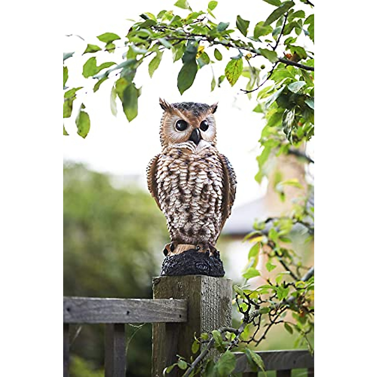 VA Resin Garden Owl Statue, Fake Owl, Fake Statue, Fake Owls, Garden Owl, Owl Décor, Realistic Owl, Owl Yard Décor, Owl.