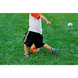 Daball Kid and Toddler Soccer Ball - Size 1 and Size 3, Pump and Gift Box Included (Size 1, Happy, The Zebra)