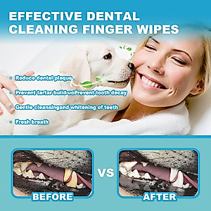 YUVEXAHOO PET Teeth Cleaning Wipes for Dogs & Cats, No-Rinse Finger Toothbrush, Reduces Plaque & Freshens Breath Teeth Care Wipes,Disposable pet Cleaning and Gum Care Wipes, 50 Count