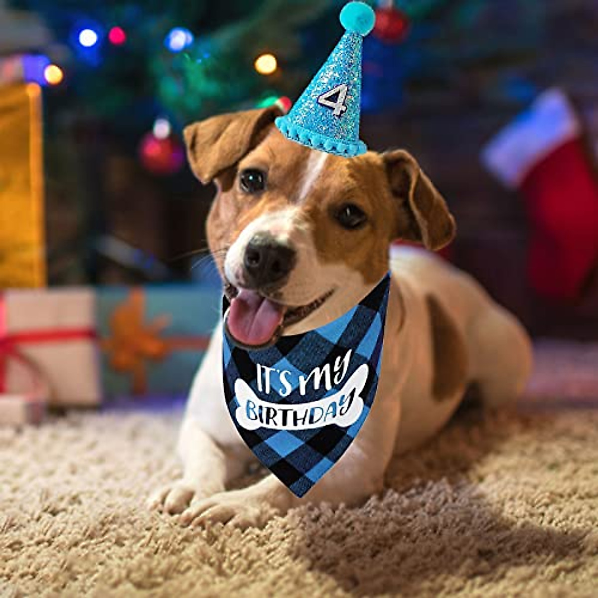 AIITLE Dog Birthday Bandana, Plaid Scarf and Reusable Dog Boy Birthday Party Hat with Number, Small Medium Dog Cat Pet Birthday Party Supplies Blue