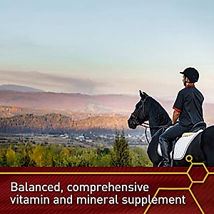 Vita Flex Pro Accel Health & Wellness Formula, Horse Supplement, 15 Pounds, 240-Day Supply