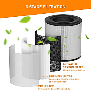 Skymechy 3389 HEPA and Carbon Filter Replacement Compatible with Bissell MYair+ and MYair HUB Air Cleaner Purifiers 2905A 3179A, Part Number 3389 2 Pack