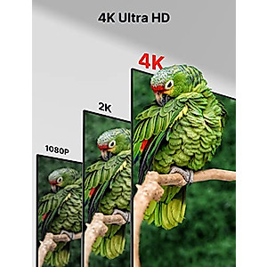 USB C to HDMI Cable 6.6ft/2M, JSAUX 4K UHD USB 3.1 Type-C to HDMI 2.0 Cord for Home Office, [Thunderbolt 3 Compatible] for Samsung Galaxy S22 S21 Ultra Plus MacBook Pro/Air iPad Pro 2021 iMac and More