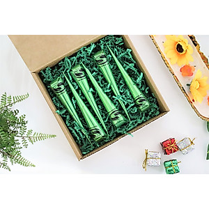 The Henna Guys 100% Natural Ready to Use Henna Cones For Redish Brown Hair Dye - Perfect for Spot hair coloring 6 Pack.