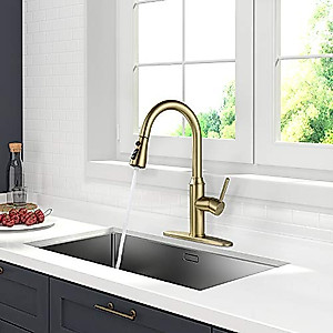 Gold Kitchen Faucet with Sprayer,Single Handle Kitchen Sink Faucet with Pull Out Sprayer, Champagne Bronze,Arofa