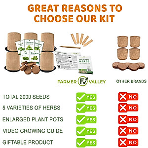 Indoor Herb Starter Grow Kit - 5 Different Medicinal & Tea Herb Seeds - Parsley, Basil, Cilantro (Coriander), Dill, Oregano - Non GMO and Heirloom - Including Pots and Soil - Made in USA
