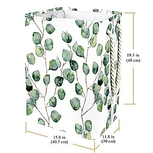 MAPOLO Laundry Basket Eucalyptus Leaves Pattern Foldable Laundry Hamper with Handles Detachable Brackets Well-Holding Waterproof for Clothes Toys Organization in Laundry Room Bedroom Bathroom