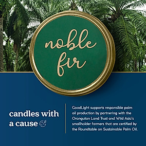 Paraffin-Free Scented Candle in Gold Tin, Vegan Palm Wax Candles, Spicy & Christmassy Scented Candles, Holiday or Birthday Gifts for Women & Men, 30-Hour Burn Time, 6 oz - GoodLight (Noble Fir)