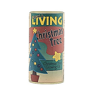 The Jonsteen Company Living Christmas Tree | Seed Grow Kit