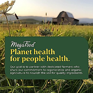 MegaFood Blood Builder - Iron Supplement Clinically Shown to Increase Iron Levels without Side Effects - Iron Supplement for Women with Vitamin C, Vitamin B12 and Folic Acid - Vegan - 90 Tabs