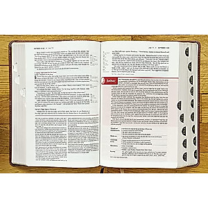 NIV, Life Application Study Bible, Third Edition, Leathersoft, Brown, Red Letter, Thumb Indexed