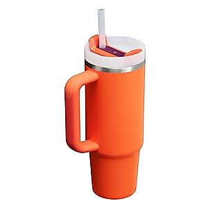Stanley Quencher H2.0 Tumbler with Handle and Straw 30 oz | Flowstate 3-Position Lid | Cup Holder Compatible for Travel | Insulated Stainless Steel Cup | BPA-Free | Tigerlily Plum
