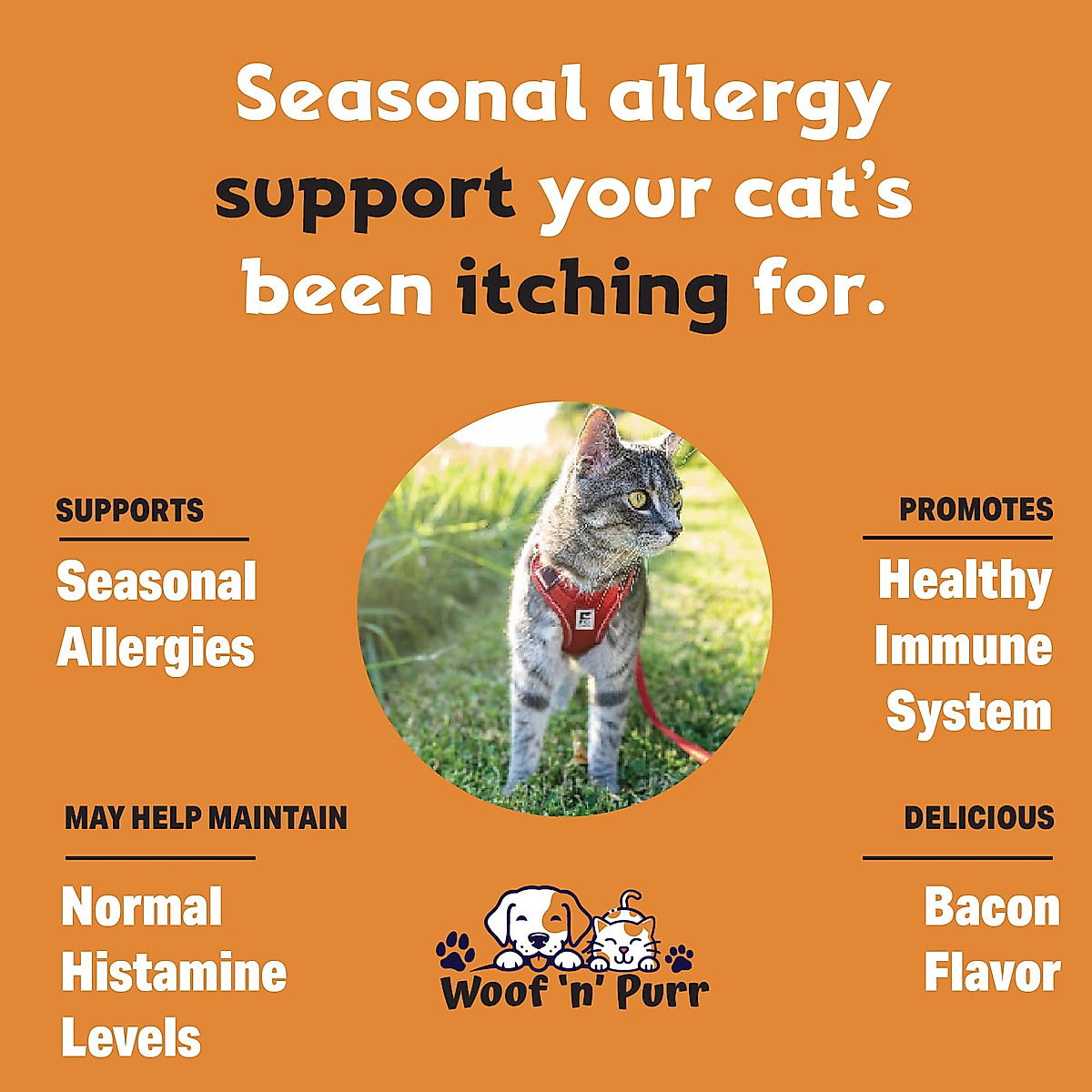 Natural Allergy Relief for Cats - Supports Allergy & Itch Relief for Cats - Cat Allergy - Cat Itch Relief - Cat Itchy Skin Relief - Cat Allergy Relief for Cats - Cat Supplements & Vitamins - 1 fl oz