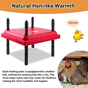 ZenxyHoC Chick Heater Brooder Plate, 10" x 10" Chick Brooder Heating Plate with Adjustable Heights 9.8 FT Power Cord for Baby Chicken Supplies