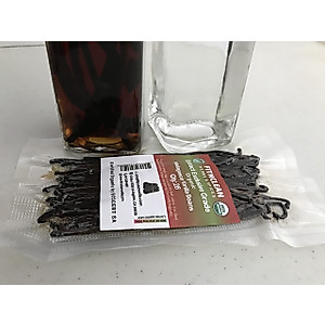 26 Organic Madagascar Vanilla Beans Extract Exclusive Grade B| 4.5" - 5.5" by FITNCLEAN VANILLA| Certified USDA Organic. Bulk Dry Whole Bourbon NON-GMO Pods