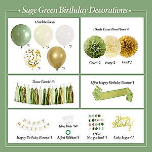 Sage Green Birthday Party Decorations with Birthday Banner,Tissue Tassels Paper Pompoms,Balloons,Birthday Sash,Cake Topper Birthday Decorations for Women Adults