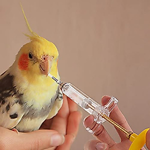 POPETPOP Birds Hand Feeding Syringe Bird Feeding Syringe, Birds Feeding Tubes for Small Birds Parrot Hand Feeding Syringe (2pcs Feed / 6 Pcs Curved Gavage Tubes) Parrot Feeding Syringe
