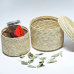 Adarl Decorative Baskets with Lid, Woven Storage Baskets for Home Office Decor