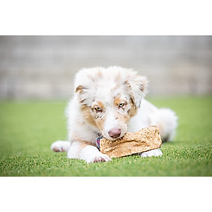 Barking Buddha Beef Cheek Chips | Extra Thick 2"-4" All Natural Rawhide Alternative No Hide Premium Dog Chew Strips | Peanut Butter | (Pack of 3-1LB Bags)