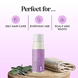 Maple Holistics Sage Shampoo for Dandruff, Oily Hair and Flaky Scalp, 10 OZ - Sulfate Free Volumizing Shampoo with Natural Ingredients, Essential Oil for Men and Women
