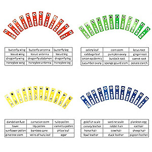 48pcs Kids Prepared Microscope Slides of Animals Insects Plants Flowers Specimens for Kids’ Microscopes