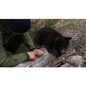 Kinect Nat Geo TV - Xbox 360