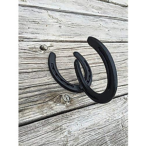 Horseshoe Hook