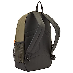 DC Shoes Backsider Seasonal 4, Men's Skate Lifestyle Backpack, Ivy Green Orange, One Size, Skate Lifestyle Backpack
