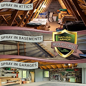 Peppermint Repellent for Indoor Pest Control - All Natural & Safe Spray for Outdoor Use. Natural Armor Indoor Pest Control. 128 Oz Gallon, Refill