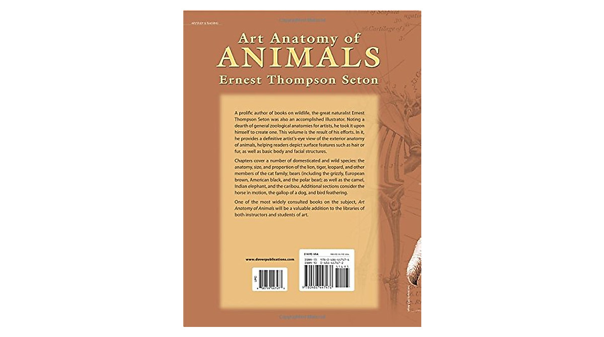Art Anatomy of Animals Guide for Wildlife Artists | Dover Paintings