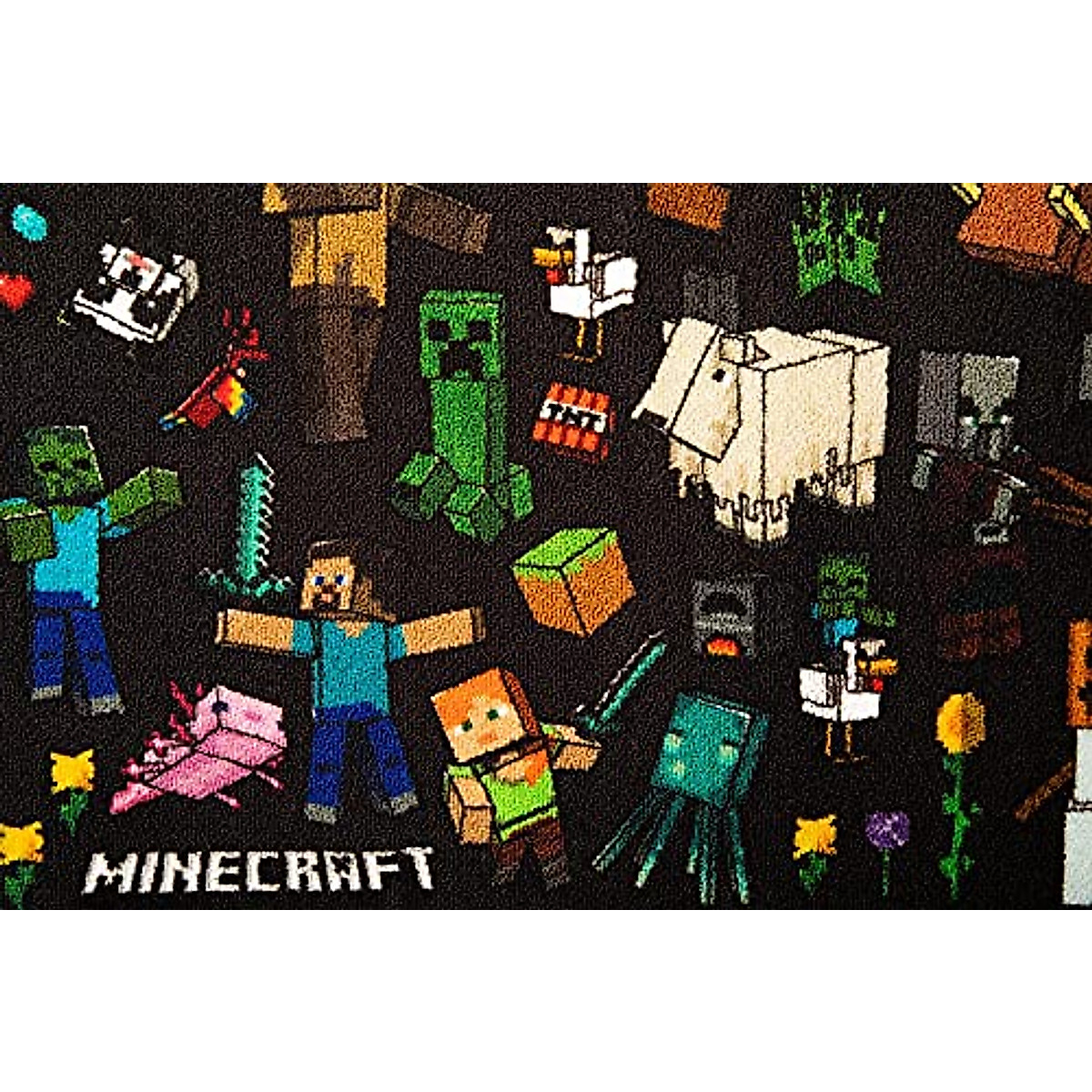 Minecraft Mob Printed Area Rug | Indoor Floor Mat, Accent Rugs For Living Room and Bedroom, Home Decor For Kids Playroom | Video Game Gifts And Collectibles | 60 x 39 Inches