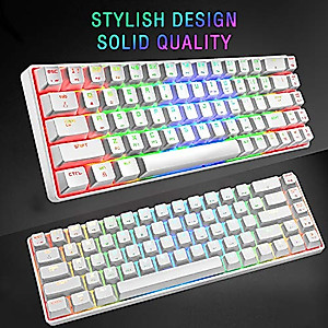 LexonElec Mechanical Gaming Keyboard 18 Chroma RGB Backlit 60% Percent Keyboard with Type C Red Switches 68 Keys Anti-ghosting Wired Gaming Keyboard for PC/Mac Gamer,Typist,Tactile-White