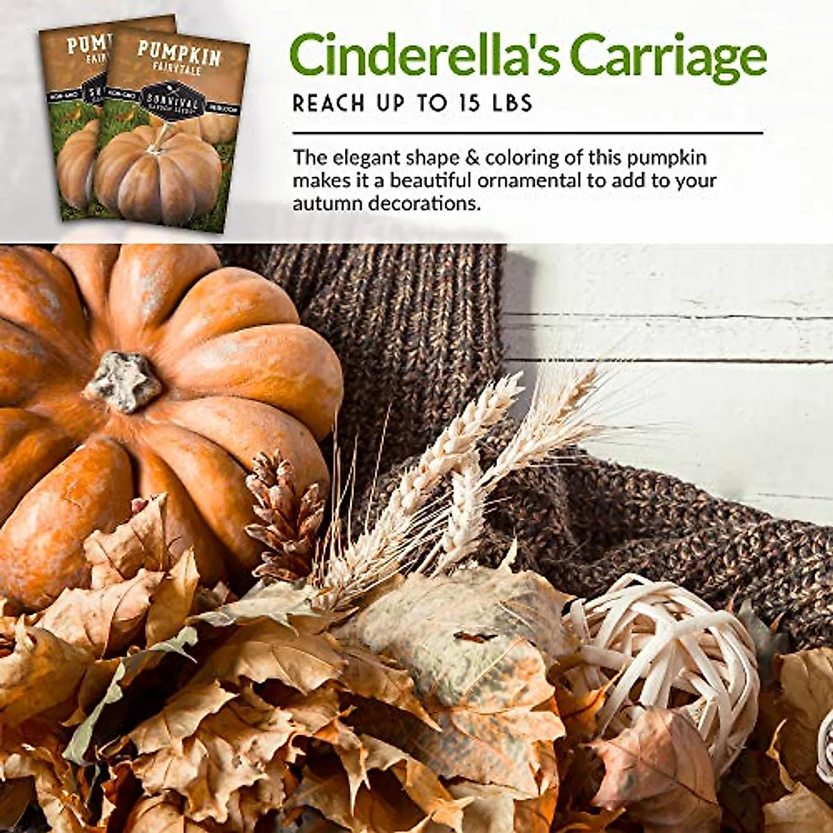Survival Garden Seeds - Fairy Tale Pumpkin Seed for Planting - Packet with Instructions to Plant and Grow Pumpkins in Your Home Vegetable Garden - Non-GMO Heirloom Variety