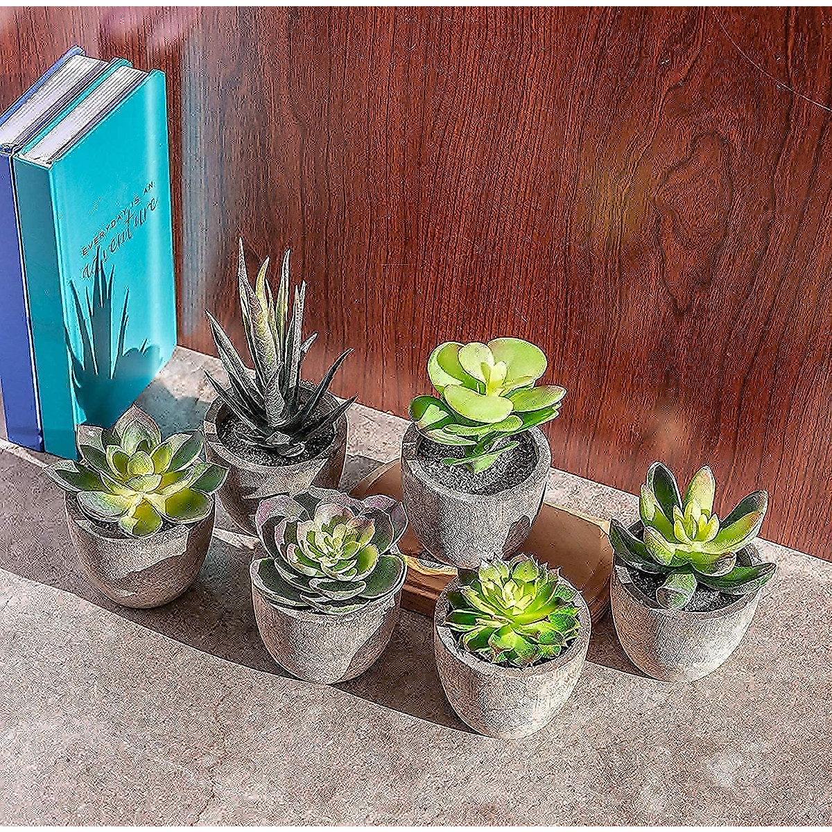 Fake Plant For Desk Decor, Faux Plants Indoor, Succulents Plants Artificial, Small Fake Plants For Office, Fake Succulent Plants, Fake Cactus Plant in Pots 2.3" - 6 Pc Set Mini Fake Succulents