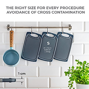 Exitoso Small Cutting Board Set of 6 - BPA Free Cutting Boards for Kitchen Dishwasher Safe - Non Slip Plastic Cutting Board with Juice Groove - Small Plastic Cutting Boards For Kitchen Essentials