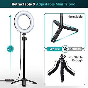 Weilisi 6.5'' Ring Light for Computer, 3 Light Modes Video Conference Lighting, Mini Ring Light Selfie Ring Light for Laptop, Webcam, Zoom, Desk