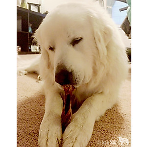 EcoKind Gullet Sticks | Premium All Natural Gullet Sticks for Dogs, Delicious Protein Rich Dog Chews, Fully Digestible Beef Dog Treats, Promotes Joint & Dental Health (30 - Pack)