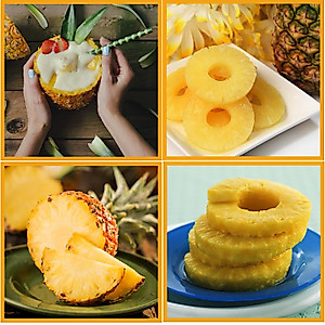 Pineapple Corer and Slicer Tool, [Upgraded] Premium Stainless Steel Pineapple Cutter Pineapple Slicer with Detachable Handle Sharp Serrated Tips & Thick Blade Kitchen Gadgets Easy to Clean