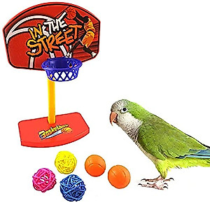5 Balls+Bracket Parrot Pet Birdie Basketball in The Street Pet Shooting Hoop Balls Toy Parakeet Bell Prop Chew Random Set