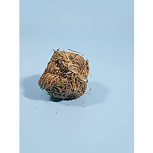 QWINEE Rabbit Chew Grass Ball Chewable Teeth Care Activity Play Toys for Bunny Rabbits Hamsters Guinea Pigs Gerbils Multicolor One Size