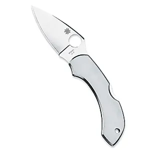 Spyderco Dragonfly Signature Knife with 2.32" VG-10 Steel Blade and Durable Stainless Steel Handle - PlainEdge - C28P