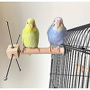 Guanlant Bird Food Holder for Cage, Bird Feeders Stand, Rotating Bird Toys with Perch, Parrot Fruits and Veggies Holder, Birds Foraging Toy, Bird Treat Sticks for Cockatiel Parakeet Conure Eclectus