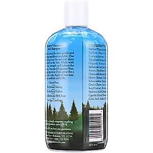 Rainbow Research Unscented Shampoo for Kids - 12 Oz